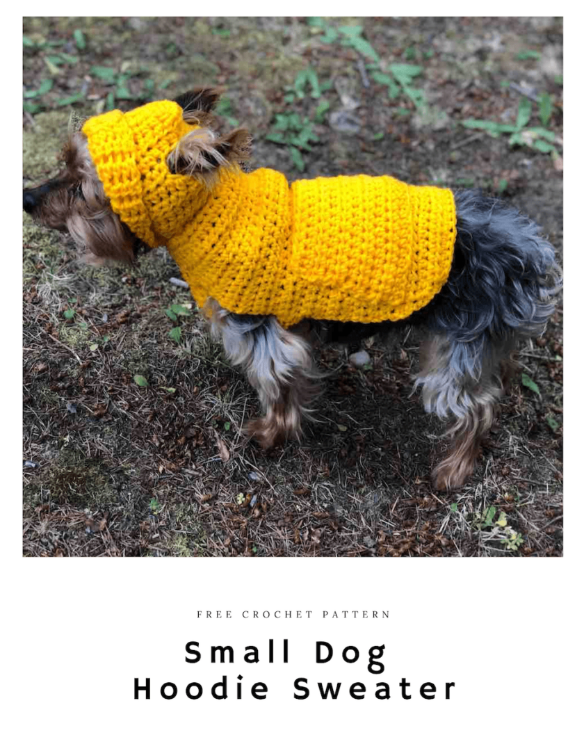 Crochet Dog Hoodie Sweater: Free Pattern for Small Dogs